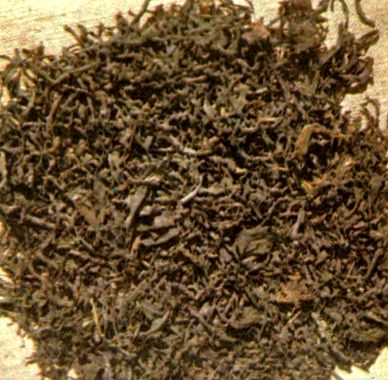Ламинария японская, сахаристая и пальчаторассеченная (Laminaria ...